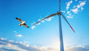 Wind Power: A Sustainable Energy Solution for the Future - Renewables ...